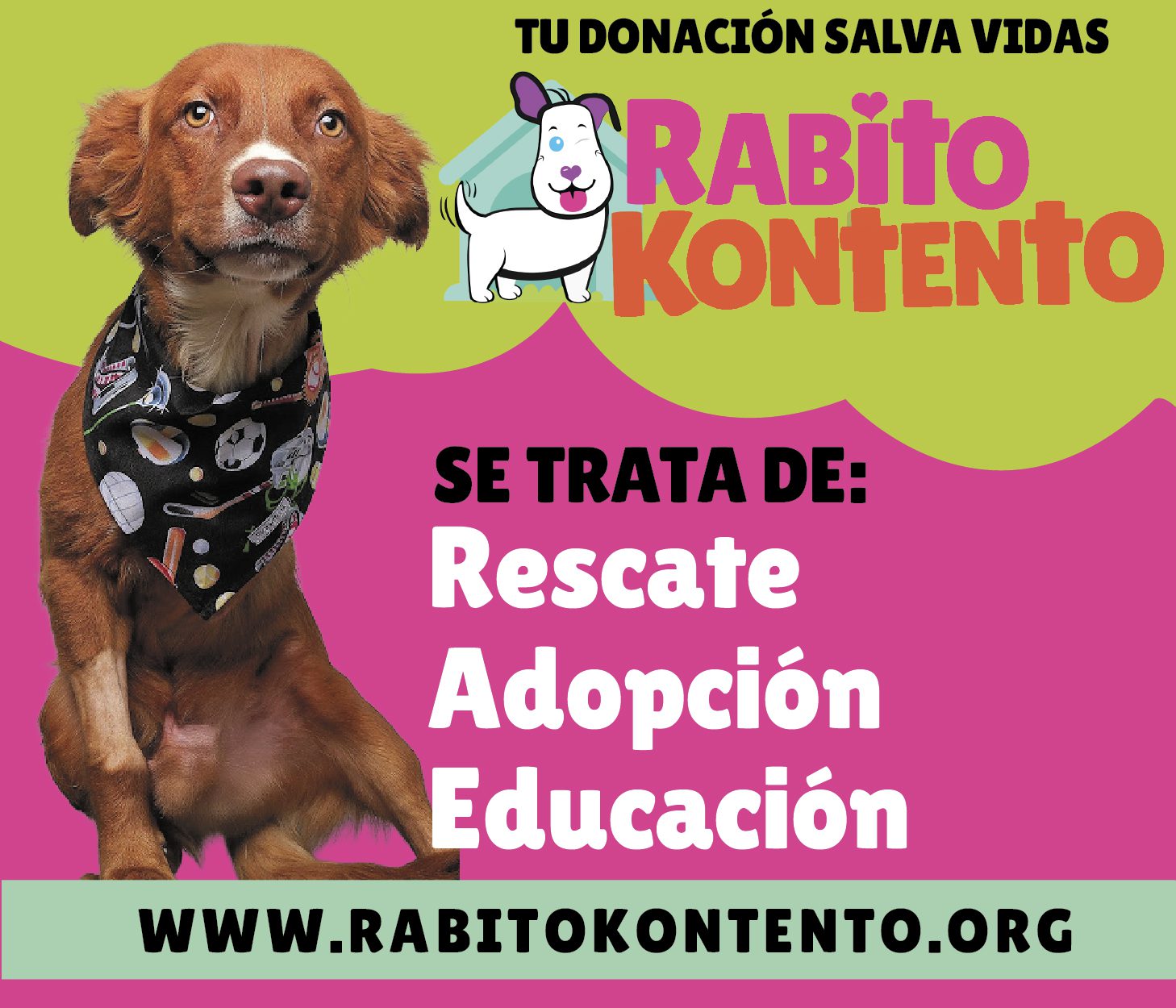 Llega el Circo Hermanos Suárez a Ponce - PUERTO RICO POSTS